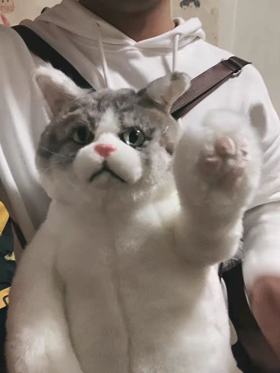 Furr-Ever Friend Cat-Inspired Travel Backpack – WonderKidz Gifts